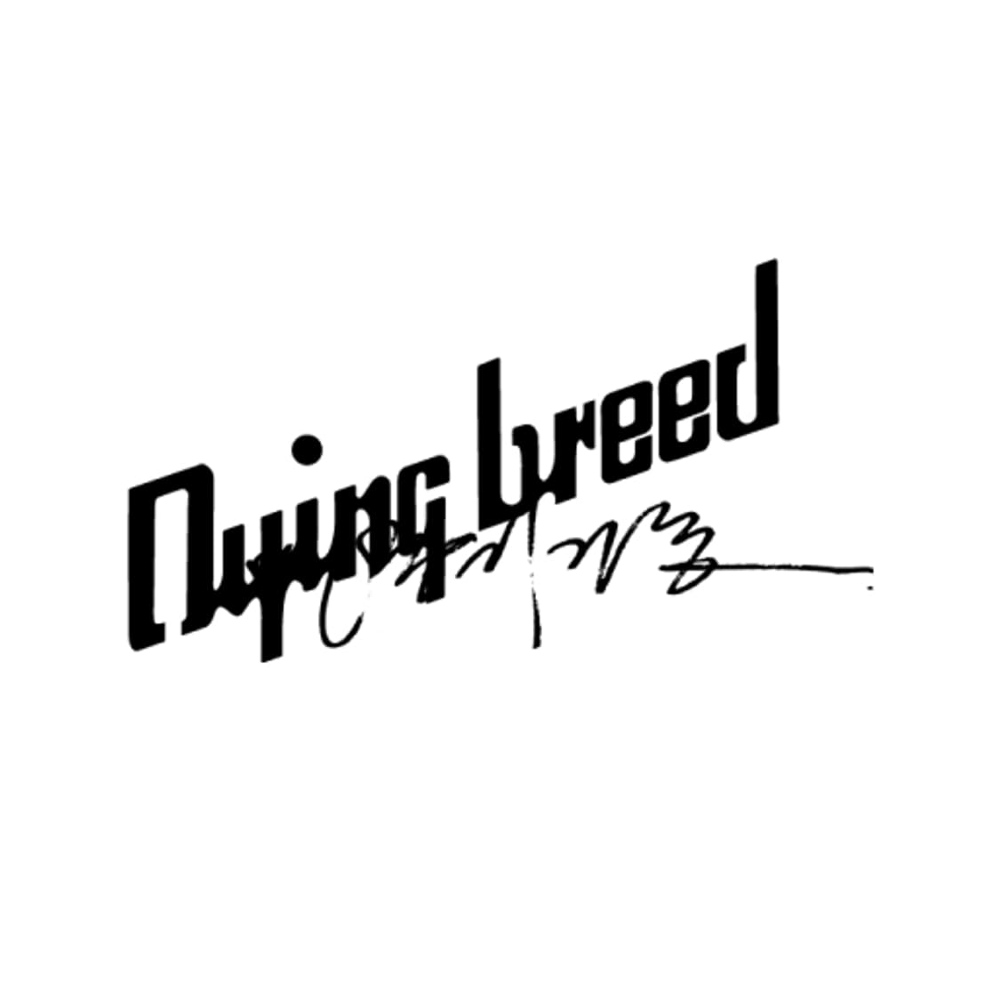 다잉 브리드(Dying Breed) | 후루츠패밀리 - 빈티지 세컨핸드 패션 중고거래