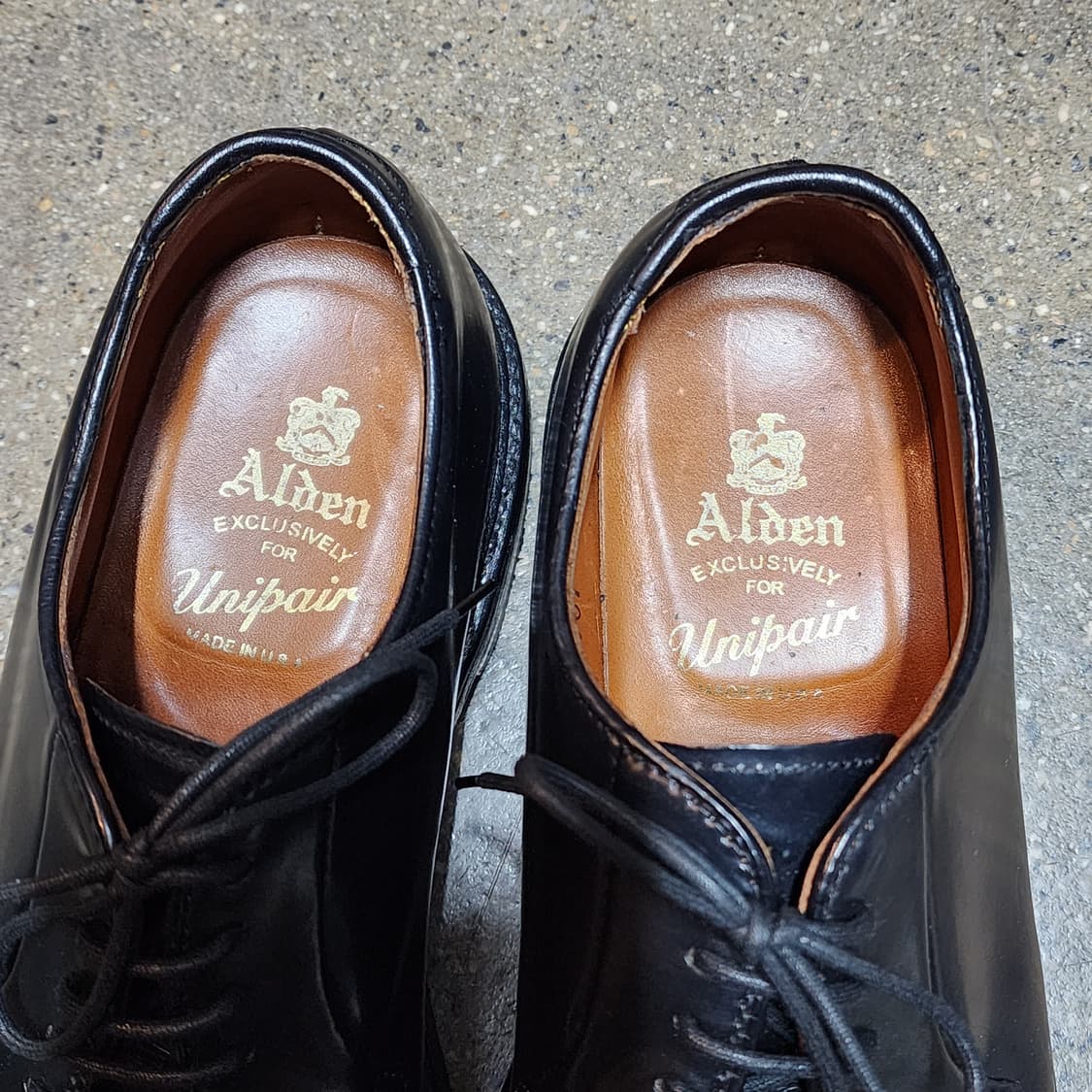 알든 alden 9901 (7 1/2) | 후루츠패밀리