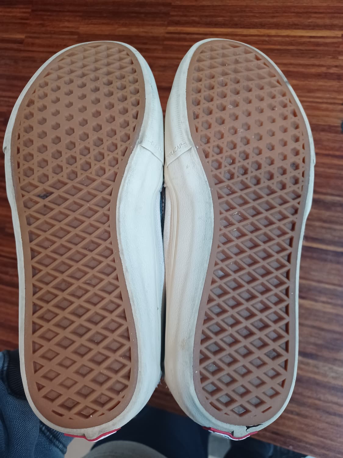 반스 프로 265 | 후루츠패밀리