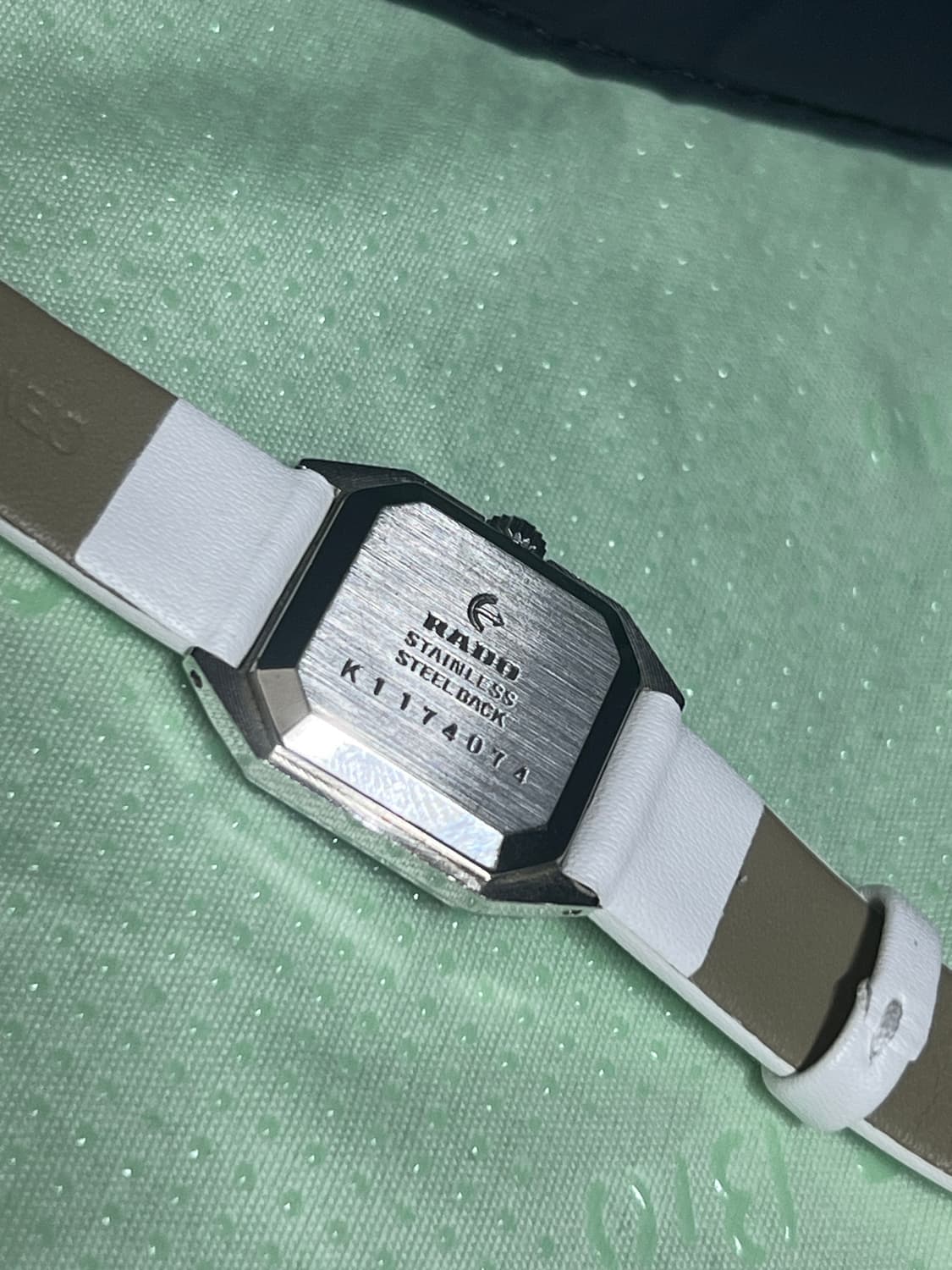 라도 에피스 (Rado apis) | 후루츠패밀리