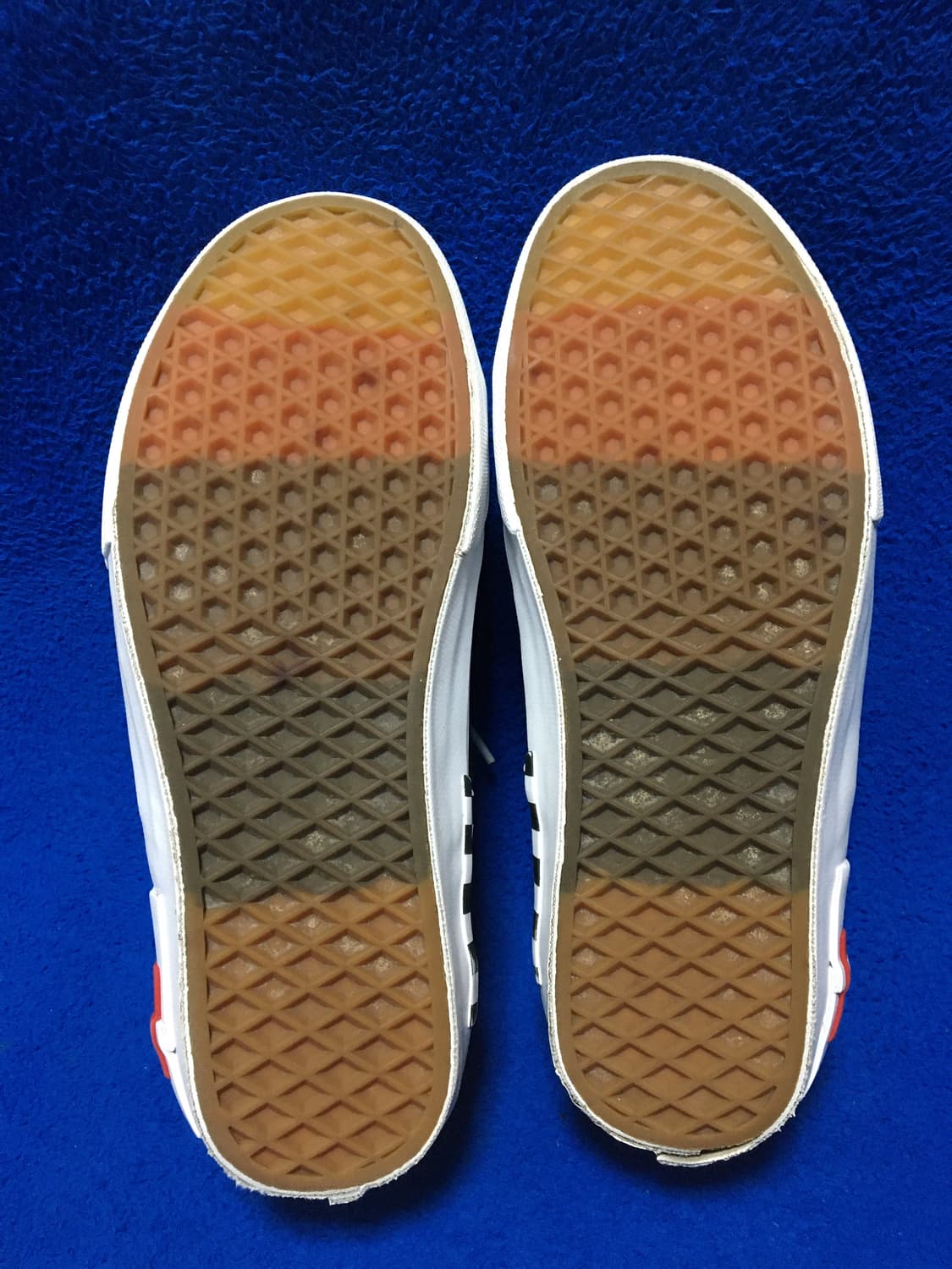 [270mm] 반스 볼트 캡 Lx 블랙 Vans 후루츠패밀리