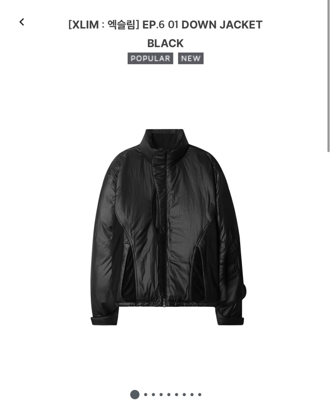 (L) 새상품 XLIM EP.6 01 DOWN JACKET 엑슬림 패딩 | 후루츠패밀리