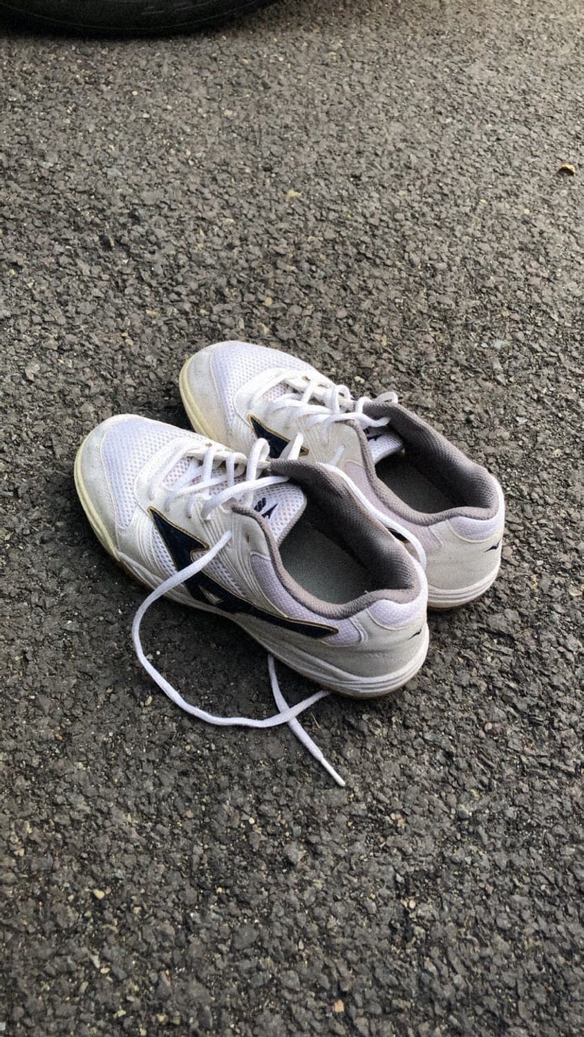 245 Mizuno 