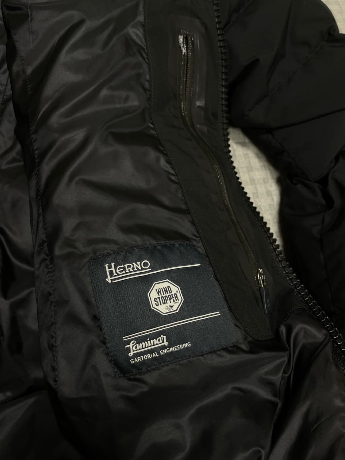 에르노 Laminar 패딩 20-21년 | 후루츠패밀리