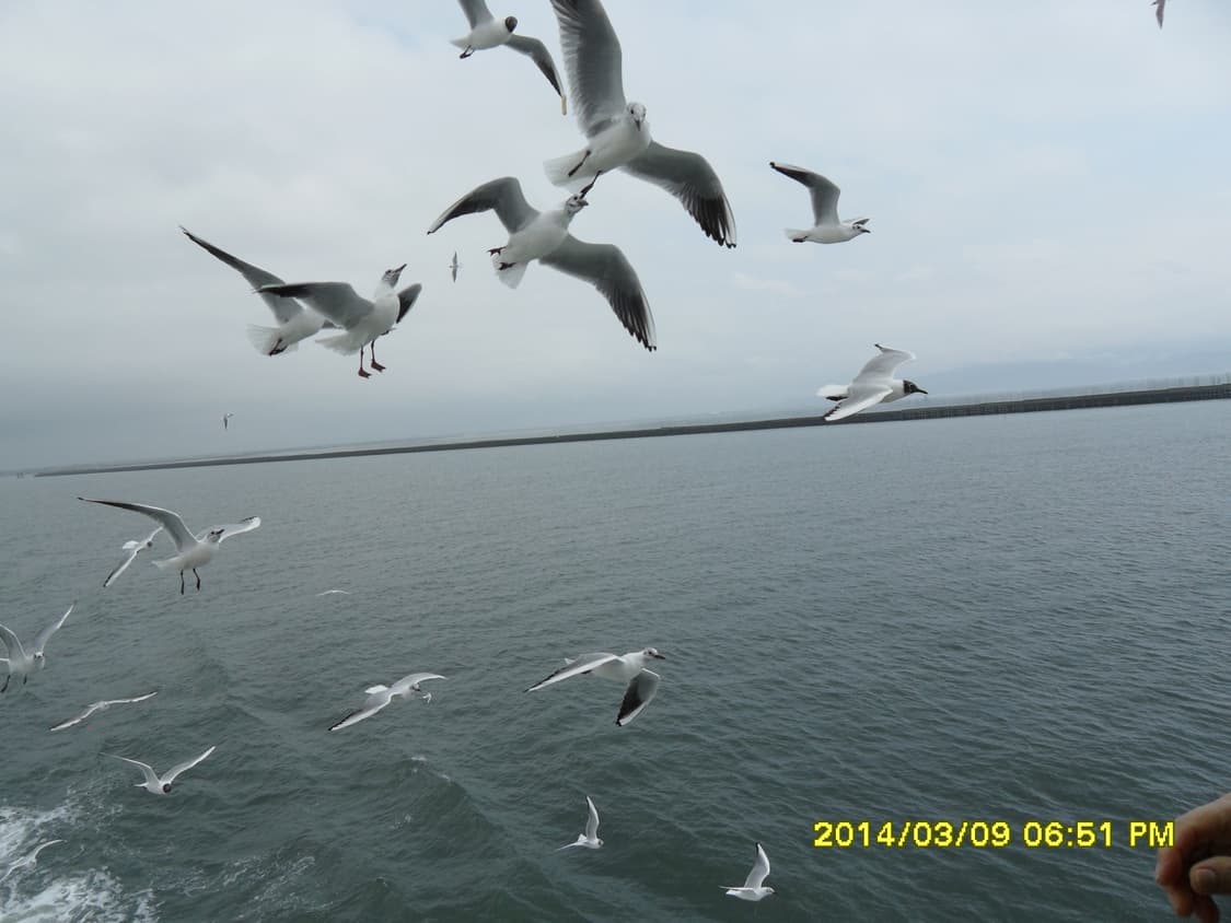 삼성 VLUU WB1000 디지털카메라 | 후루츠패밀리