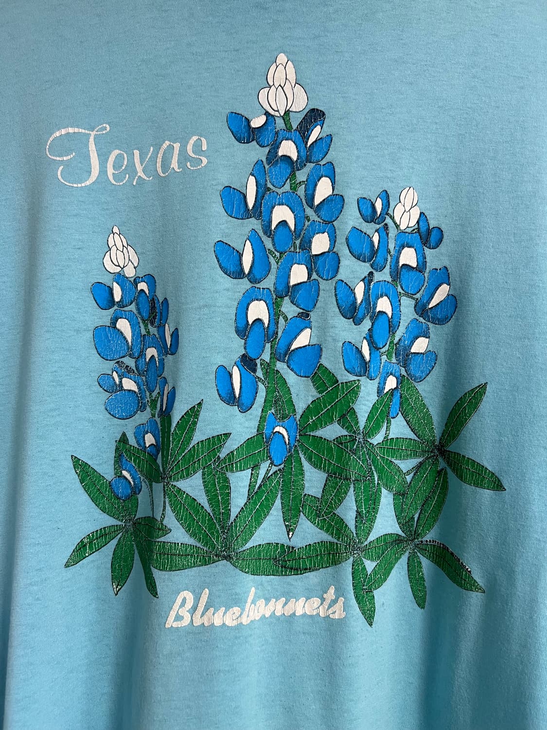 80s/90s DELTA USA TEXAS TSHIRT | 후루츠패밀리